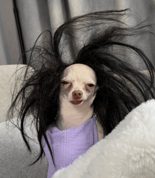 Employee in the Spotlight: Luísa D'El Rodrigues - Mopinion